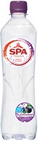 Water Spa Touch sparkling blackcurrant petfles 500ml DEKAS 2021