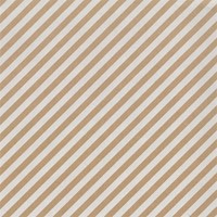 Apparaatrol Special Wrap kraft witte streep 200mx50cm DEKAS 2021